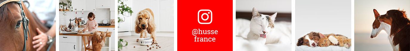 Croquettes et soins pour chien et chat | Husse France